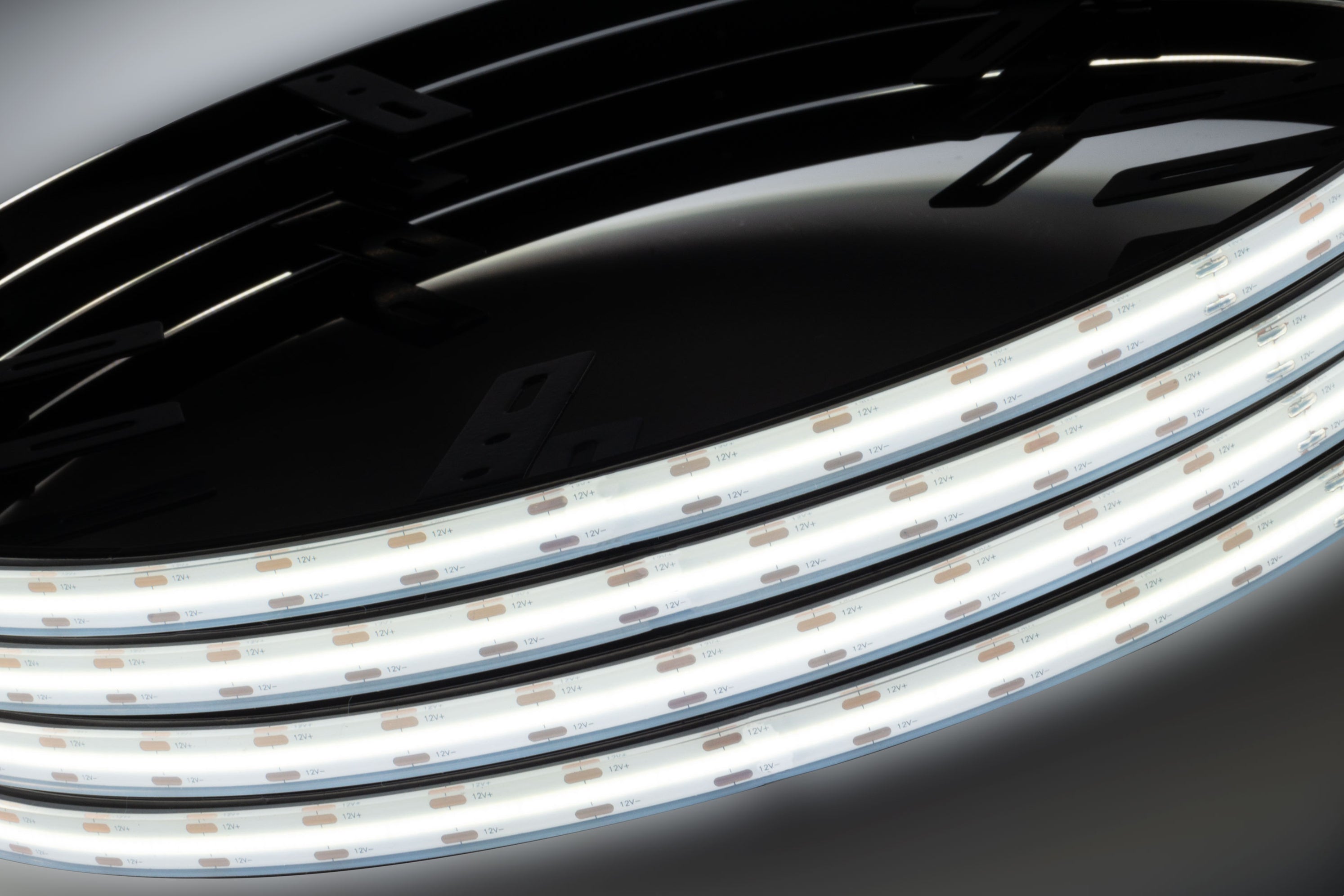 First Look: PLASMA™ LED Wheel Rings - Available in RGB (ColorSHIFT®)